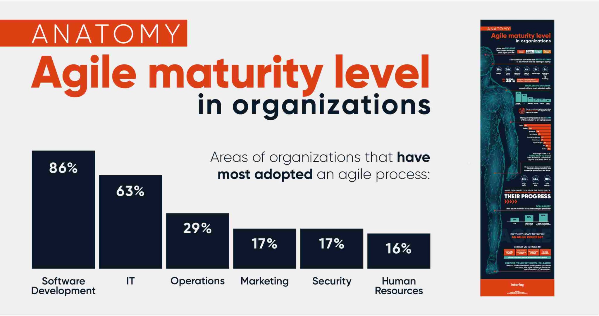 Anatomy: agile maturity level in organizations - Interfaz